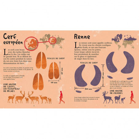 Les traces des animaux - Ducatillon Belgique